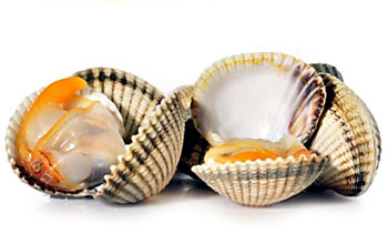 Coques bretonnes